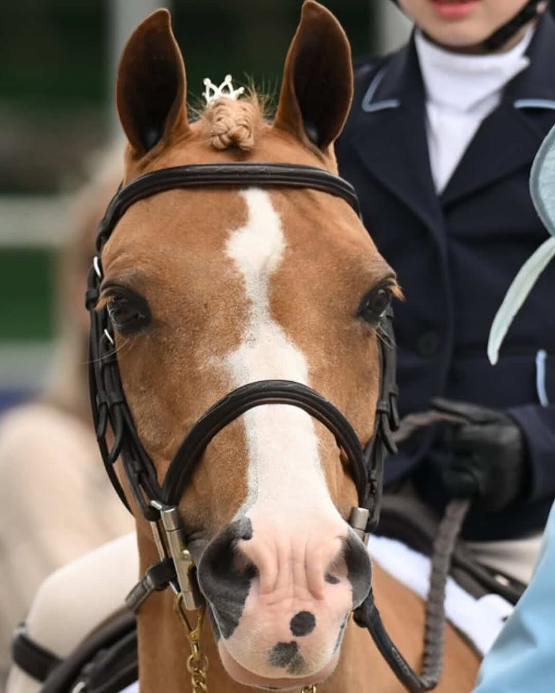 Forelock Crowns – Luxy Charms